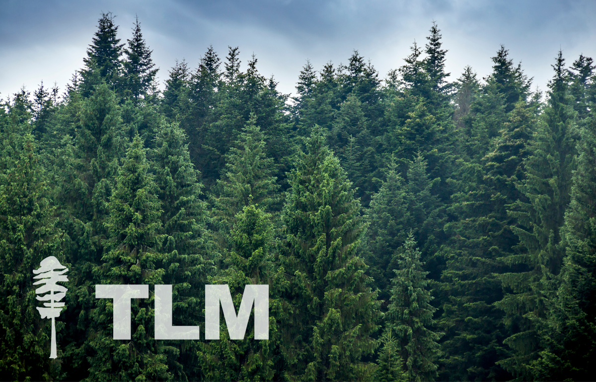 The Lumber Manufactory - Maximize your timberland's value